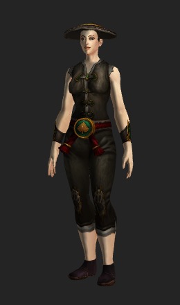 Nosecret Warcraft Hunter Transmog Sets