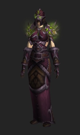 Brutal Gladiator's Dragonhide Armor - Transmog Set - World of Warcraft