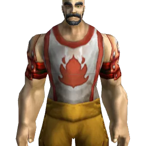 WotLK Mail Chest Armor Item Appearances - WotLK Classic