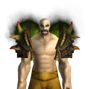 WotLK Leather Shoulder Armor Item Appearances - WotLK Classic