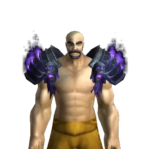 WotLK Leather Shoulder Armor Item Appearances - WotLK Classic
