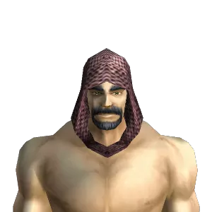 WotLK Mail Head Armor Item Appearances - WotLK Classic