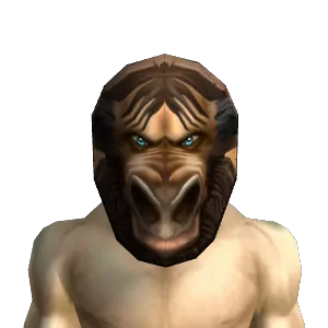 WotLK Common Armor Item Appearances - WotLK Classic