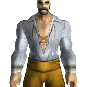 WotLK Cloth Chest Armor Item Appearances - WotLK Classic