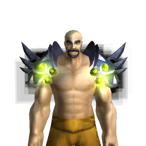 WotLK Leather Shoulder Armor Item Appearances - WotLK Classic