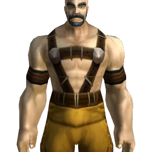 WotLK Shirt Item Appearances - WotLK Classic