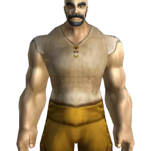 WotLK Shirt Item Appearances - WotLK Classic