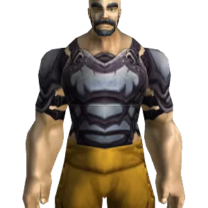 WotLK Heirloom Armor Item Appearances - WotLK Classic