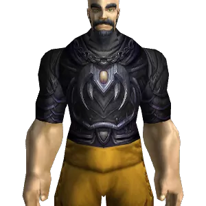 WotLK Leather Armor Item Appearances - WotLK Classic
