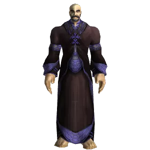 WotLK Cloth Chest Armor Item Appearances - WotLK Classic