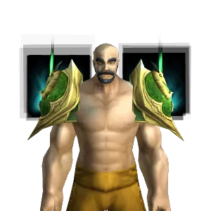 WotLK Leather Shoulder Armor Item Appearances - WotLK Classic