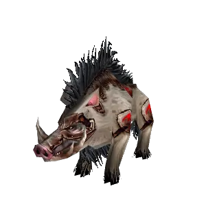Phantom Boar - NPC - WotLK Classic
