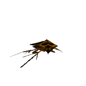 Cosmetic Cockroach - NPC - WotLK Classic