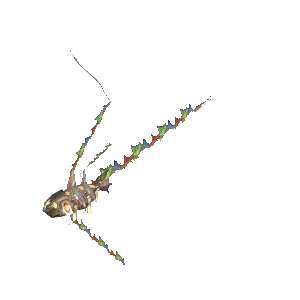 Tuskarr Kite - NPC - WotLK Classic