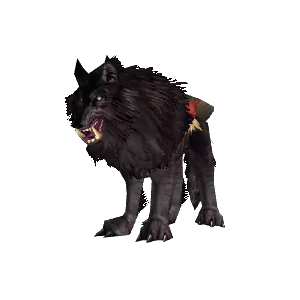 Black Wolf - NPC - WotLK Classic