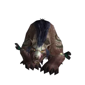 Bear Form (Night Elf Druid) - NPC - WotLK Classic