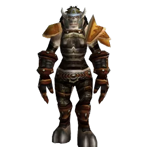 Champion Warrior - NPC - WotLK Classic