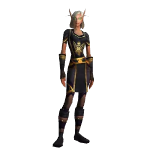 Scryer Retainer - NPC - WotLK Classic