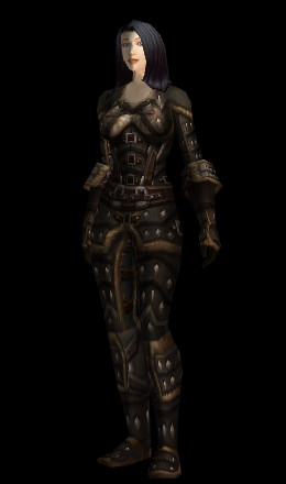 Dark Arctic Armor - Item Appearance Set - WotLK Classic