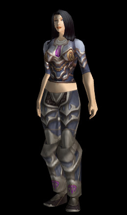 Justicar Armor (Recolor) - Item Appearance Set - WotLK Classic