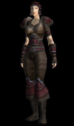 Emblazoned Garb (Recolor) - Item Appearance Set - WotLK Classic