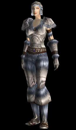 Ghostwalker Garb - Item Appearance Set - WotLK Classic