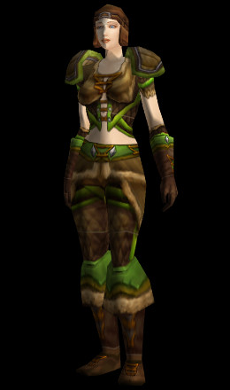 Archer's Garb - Item Appearance Set - WotLK Classic