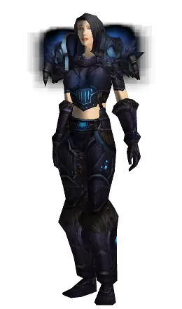 WotLK Paladin Item Appearance Sets - WotLK Classic