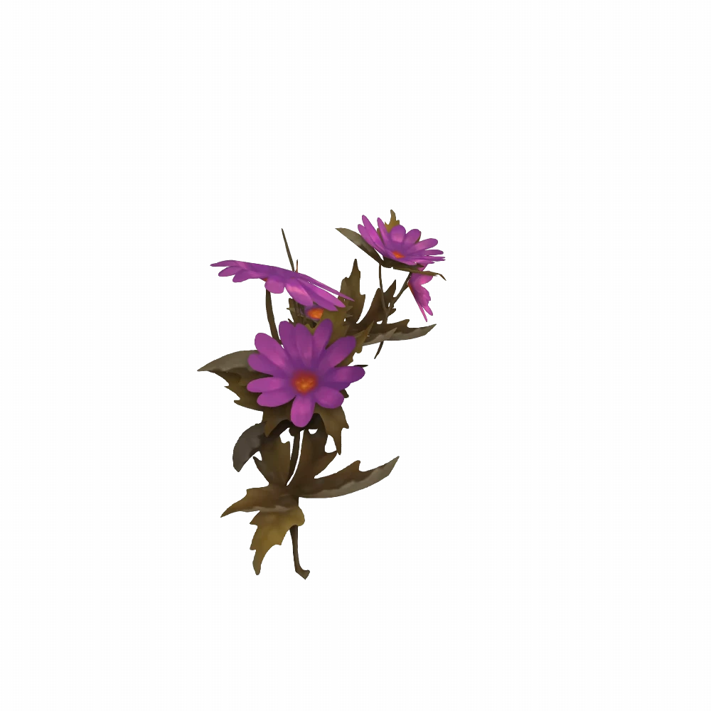 Sunset Aster Flowers - [Decor] - World of Warcraft