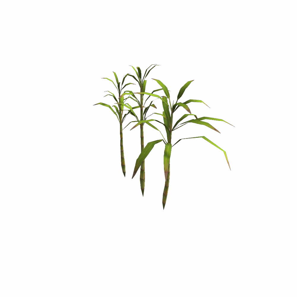 [DNT] [AUTOGEN] ULDUM_ CROPS_ SUGARCANEROW04.M2 - Decor - World of Warcraft