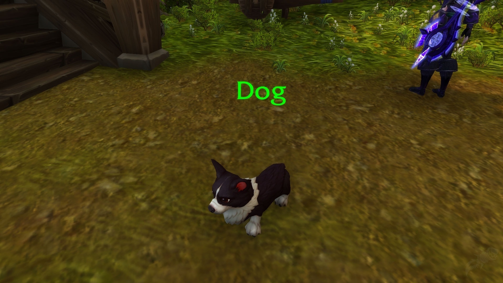 7.3.5 PTR - Encrypted Dog Mount - Wowhead News