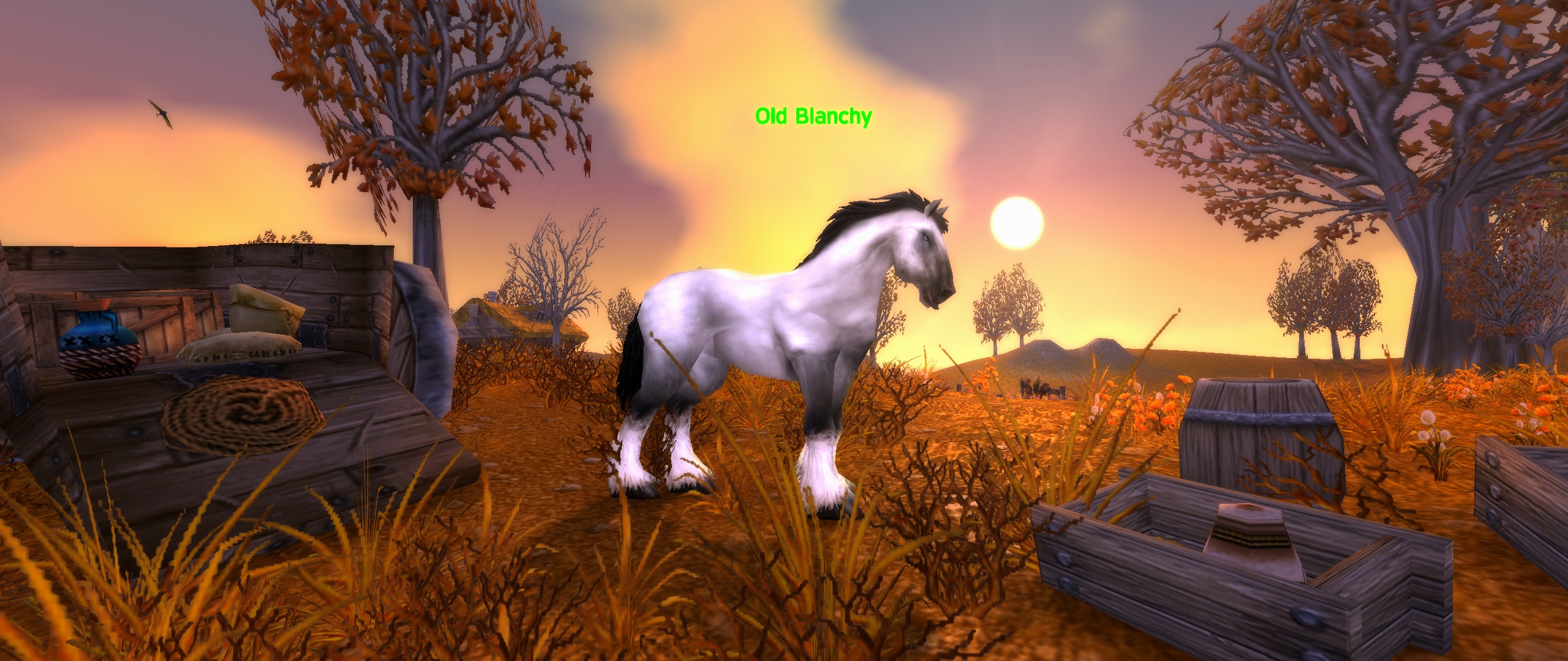 Old Blanchy is a Growing Destination Realm for Wrath Classic - Wowhead News