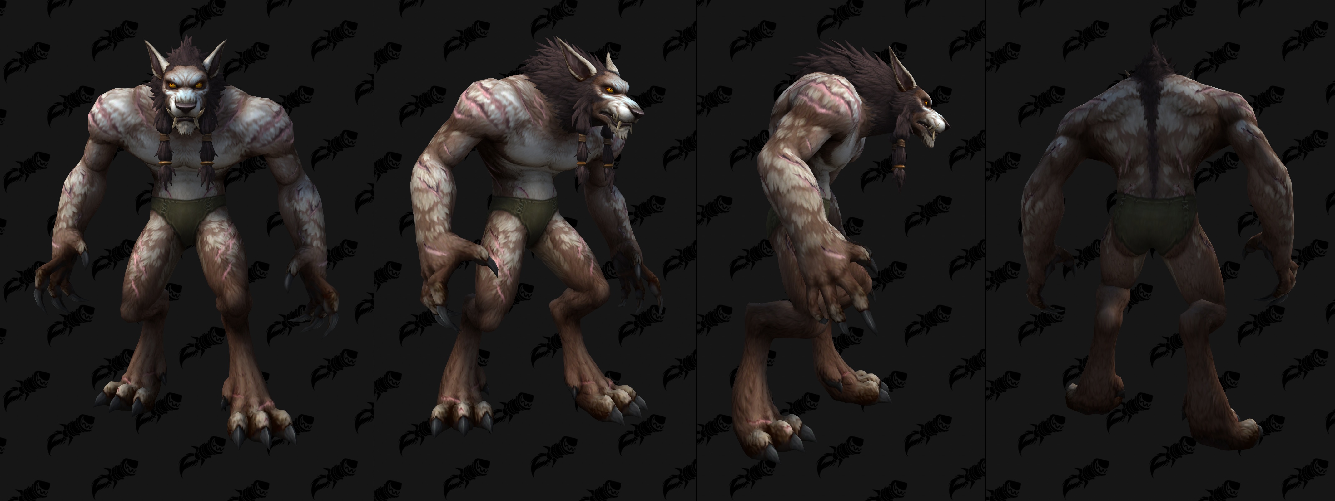 New Worgen Fur Customization in Patch 10.1.5 - Intricate Patterns ...