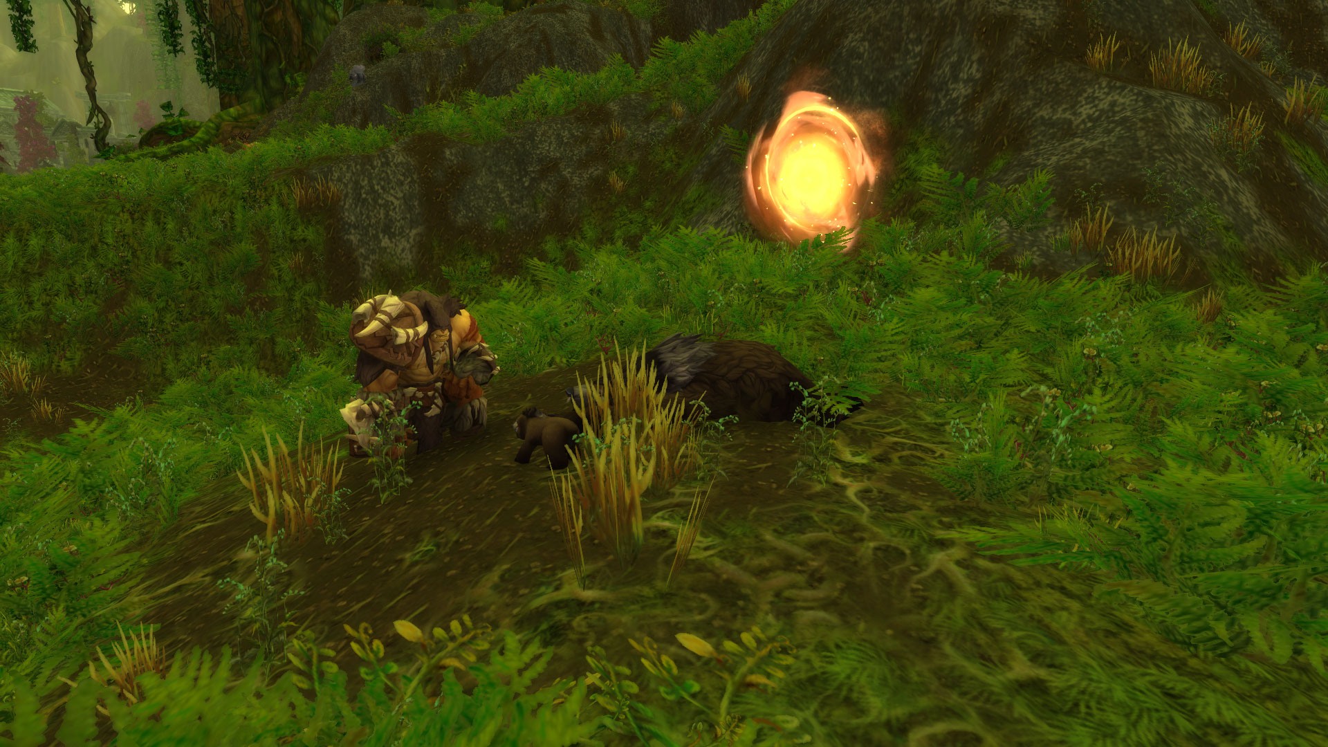 rexxar-and-misha-meeting-for-the-first-time-heartwarming--in-10