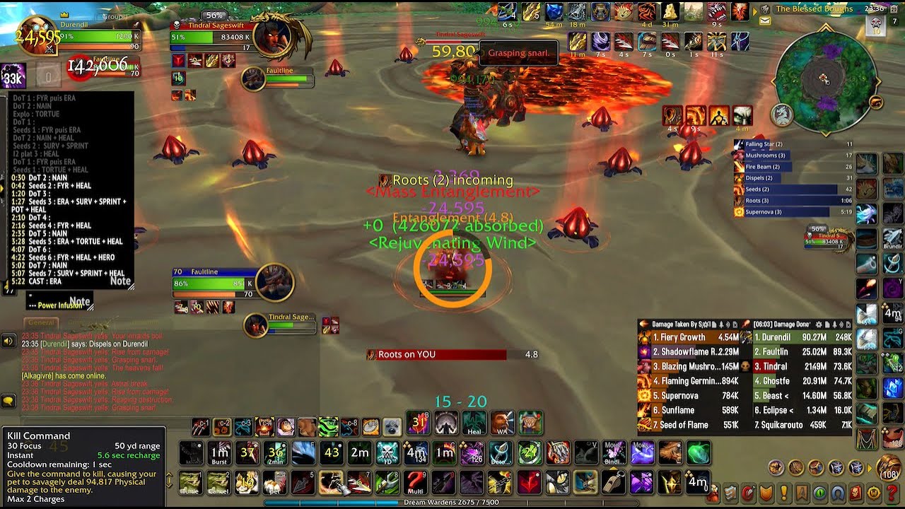 DurendilLeHunt Solo Beast Mastery Hunter Victory over Tindral Sageswift ...
