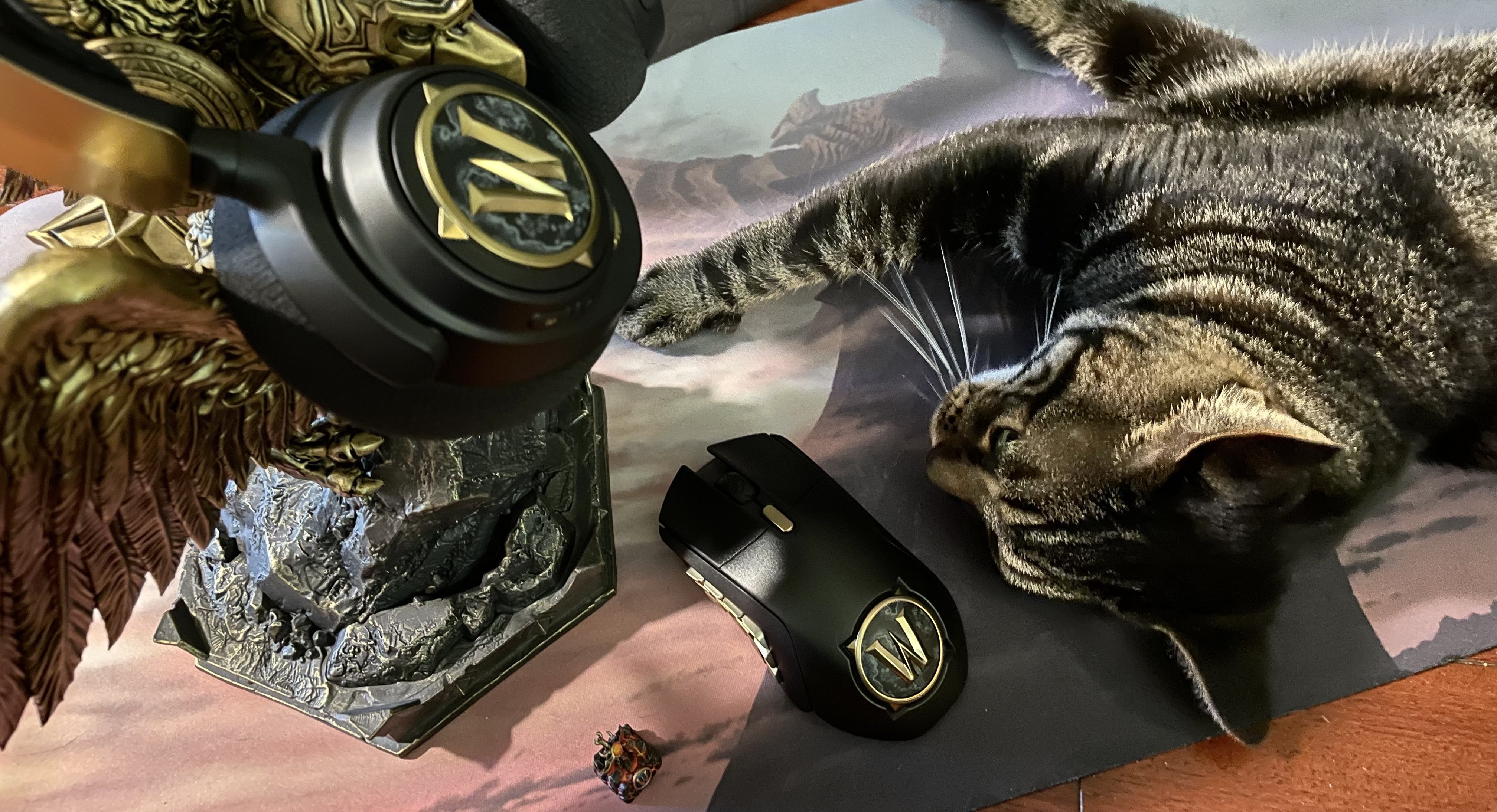 First Look at Steelseries x World of Warcraft 20th Anniversary Merch ... First Look at Steelseries x World of Warcraft 20th Anniversary Merch ...