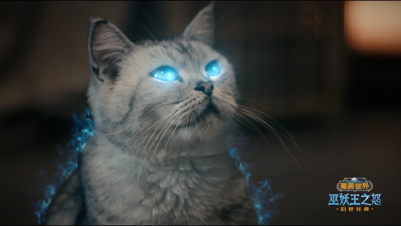 Wrath of the Cat King Part 2 - WotLK Classic Television Ad in China ...