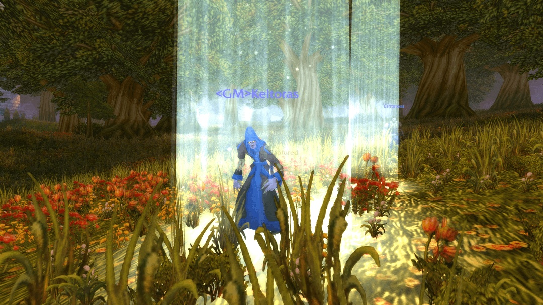 WoW Classic Fresh Launch Day Round Up - GM Sightings, Player Lines ...