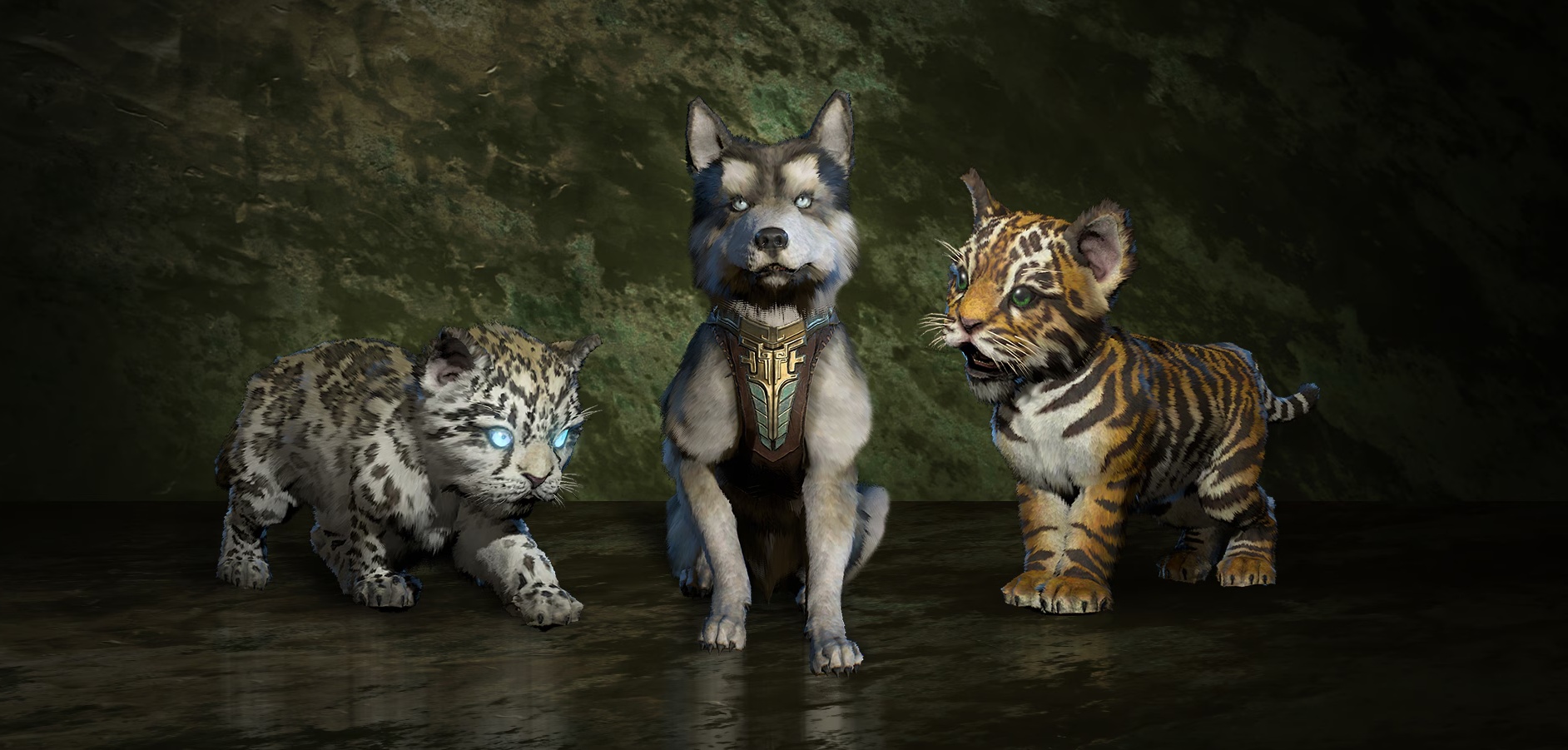 Pets Guide - Season 12 Diablo 4 - Wowhead