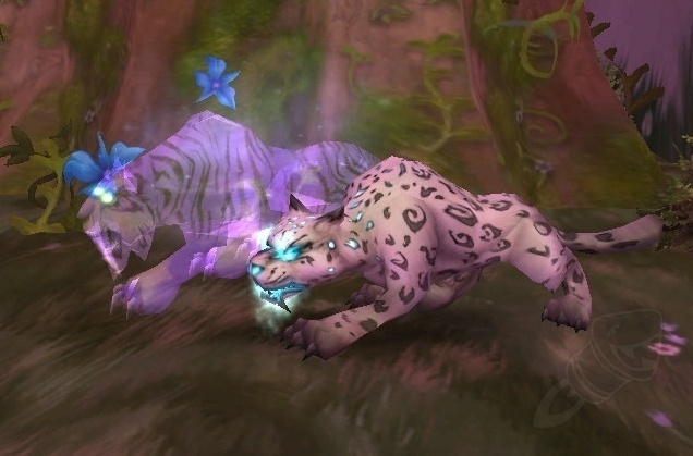 Can't Respec Pets since patch - Hunter - World of Warcraft Forums