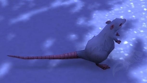 Frostwall Rat - NPC - World of Warcraft