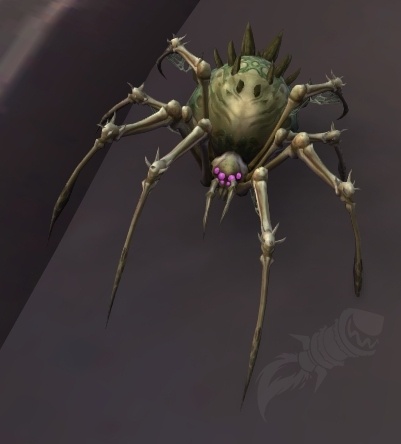 Spider - NPC - World of Warcraft