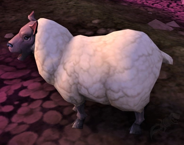 Ninito - PNJ - World of Warcraft