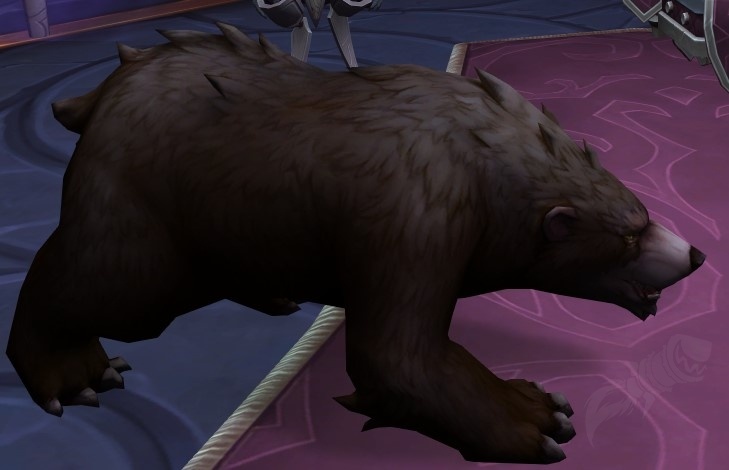 Summoned Creature - NPC - World of Warcraft