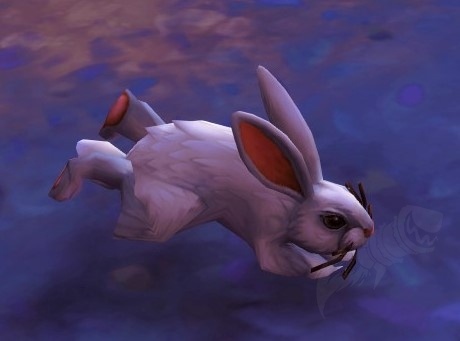 Rabbit - NPC - World of Warcraft