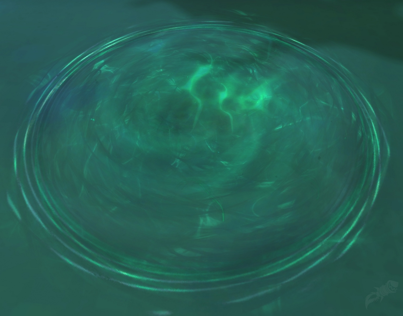 Acechador invisible - PNJ - World of Warcraft