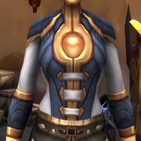 Desolate Leather Vest - Item - World of Warcraft