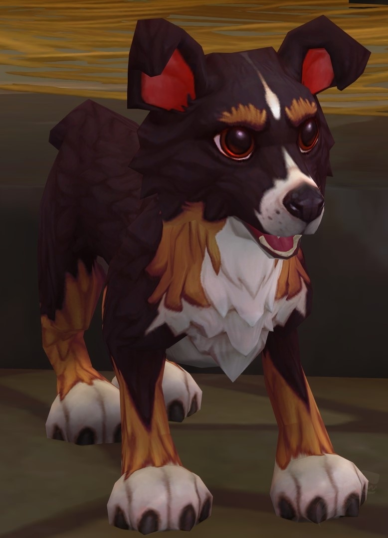 Charlie - NPC - World of Warcraft