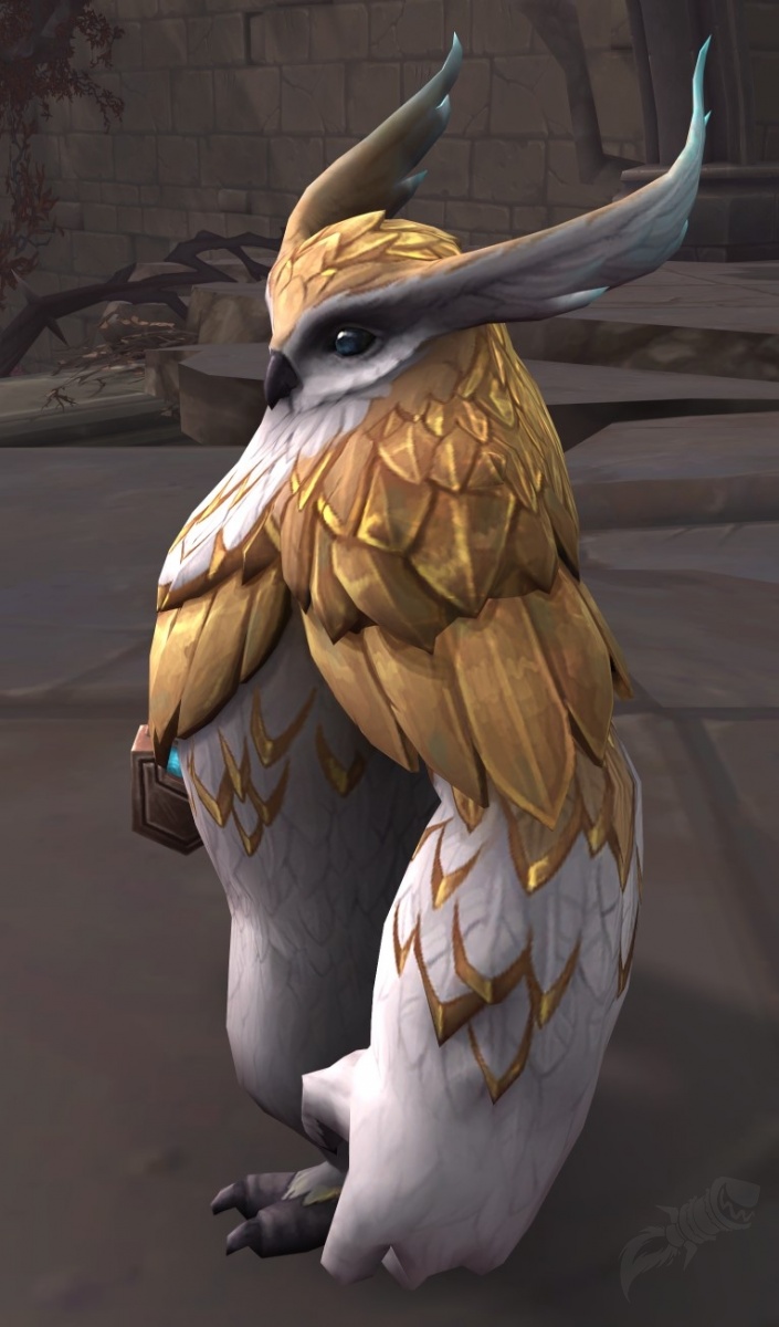 Popo - NPC - World of Warcraft
