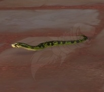 Pit Snake - NPC - World of Warcraft